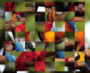 Картинка № 2327471 🟦 Куча пазлов онлайн 🟥 PuzzleHeap