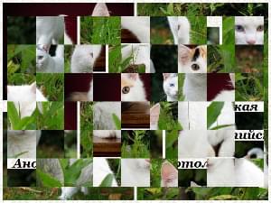 Картинка № 5044968 🟦 Куча пазлов онлайн 🟧 PuzzleHeap