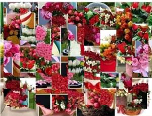 Картинка № 5181945 🟥 Куча пазлов онлайн 🟧 PuzzleHeap